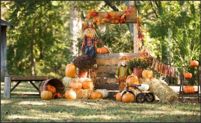 Enchanting Pumpkin-Themed Wedding Decor Ideas